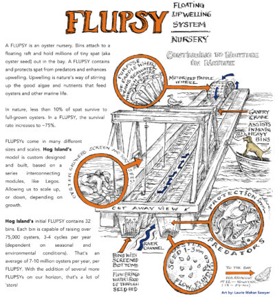 Our Farms - Hog Island Oyster Co.
