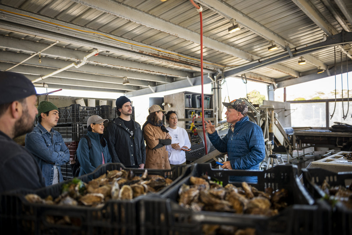 Farm Tours at Hog Island Oyster Co.